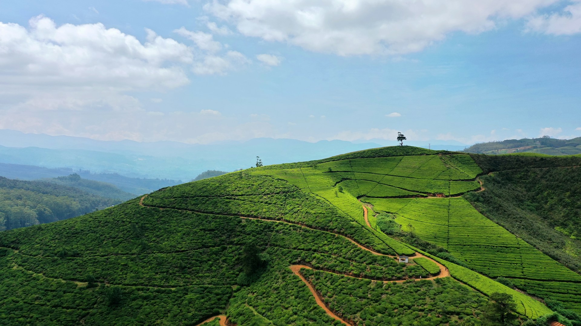Hill Country | amazing exploring Hills | Ceylon Asia Tours